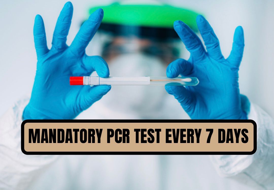 Employees of government entities in Abu Dhabi to undergo mandatory PCR ...